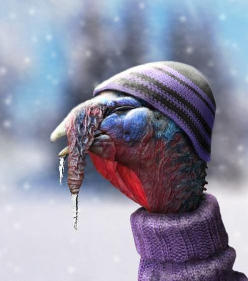 O que significa cold turkey? | Dicas de Inglês