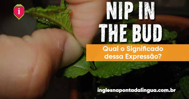 NIP IN THE BUD | qual o significado dessa expressão?