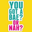O que significa bae?