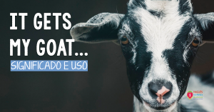 O que significa GET: o famoso verbo coisar da língua inglesa